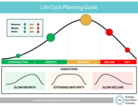 Life Cycle Planning Workshop | Strategy Generation Company